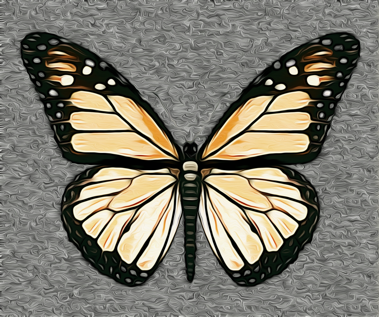 MONARCH ANATOMY - PROJECT MONARCH