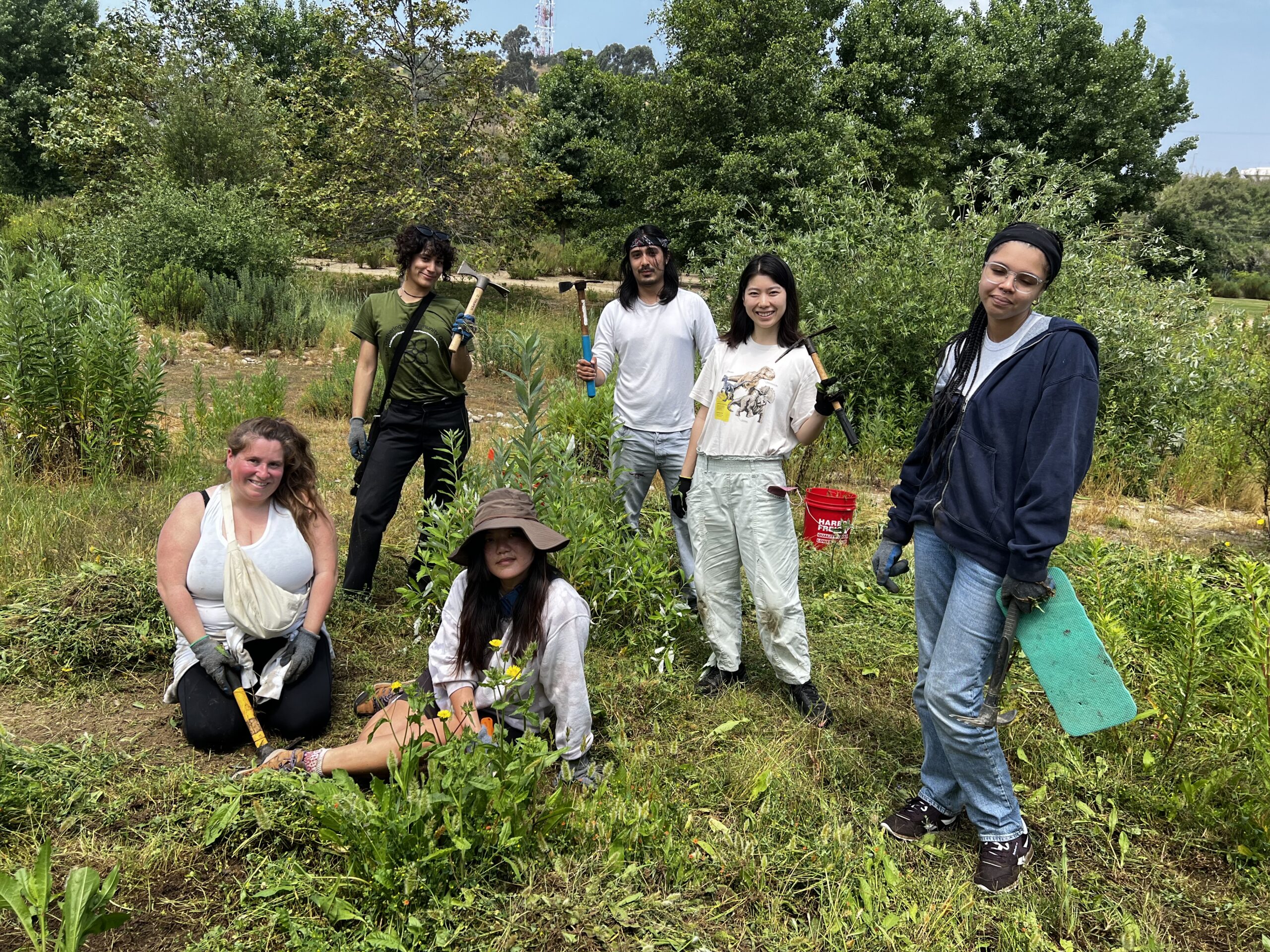 MONARCH HERO LAUNCH - PROJECT MONARCH