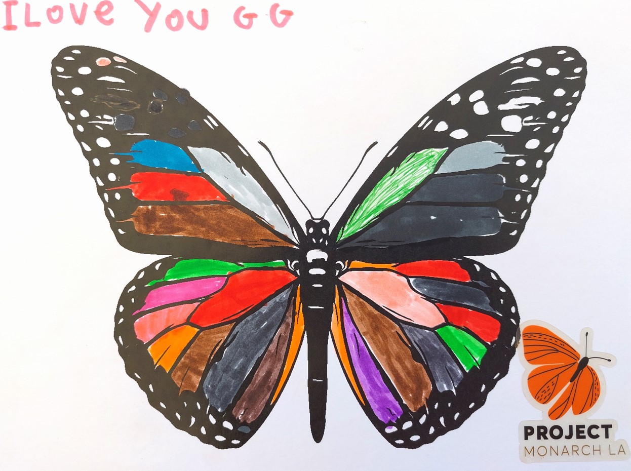 Kai Haywood - PROJECT MONARCH