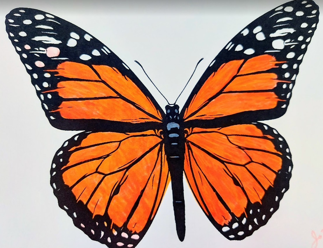 Parker - PROJECT MONARCH