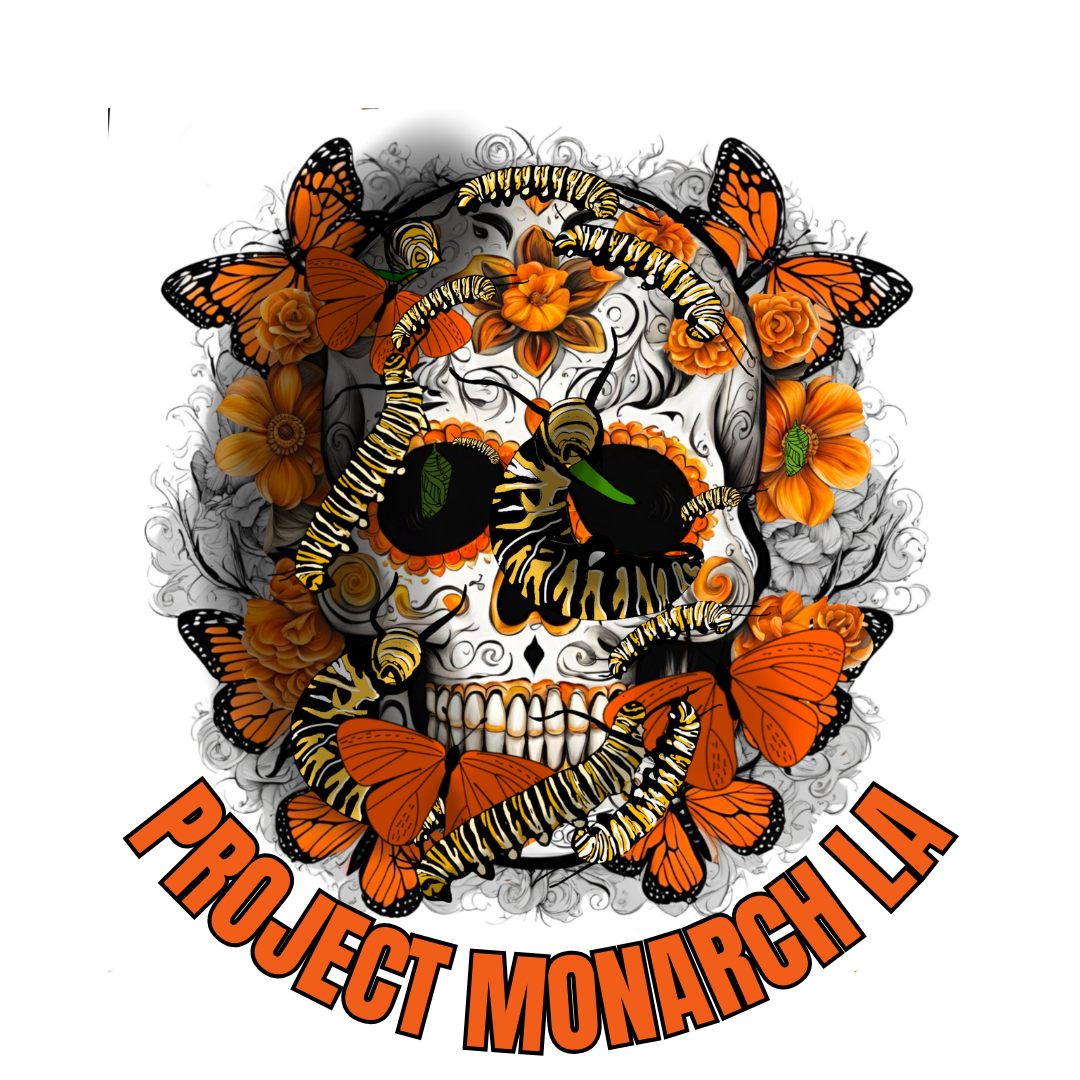 Monarch’s are the souls returning for Dia de Los Muertos - PROJECT MONARCH
