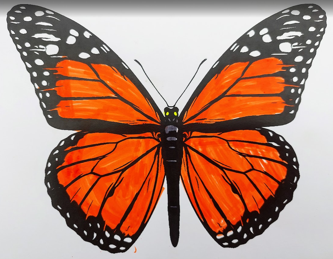 2025 MWE 0016 - PROJECT MONARCH