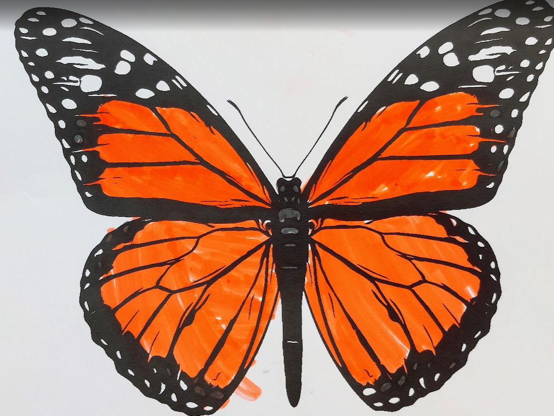 2025 MWE 0021 - PROJECT MONARCH