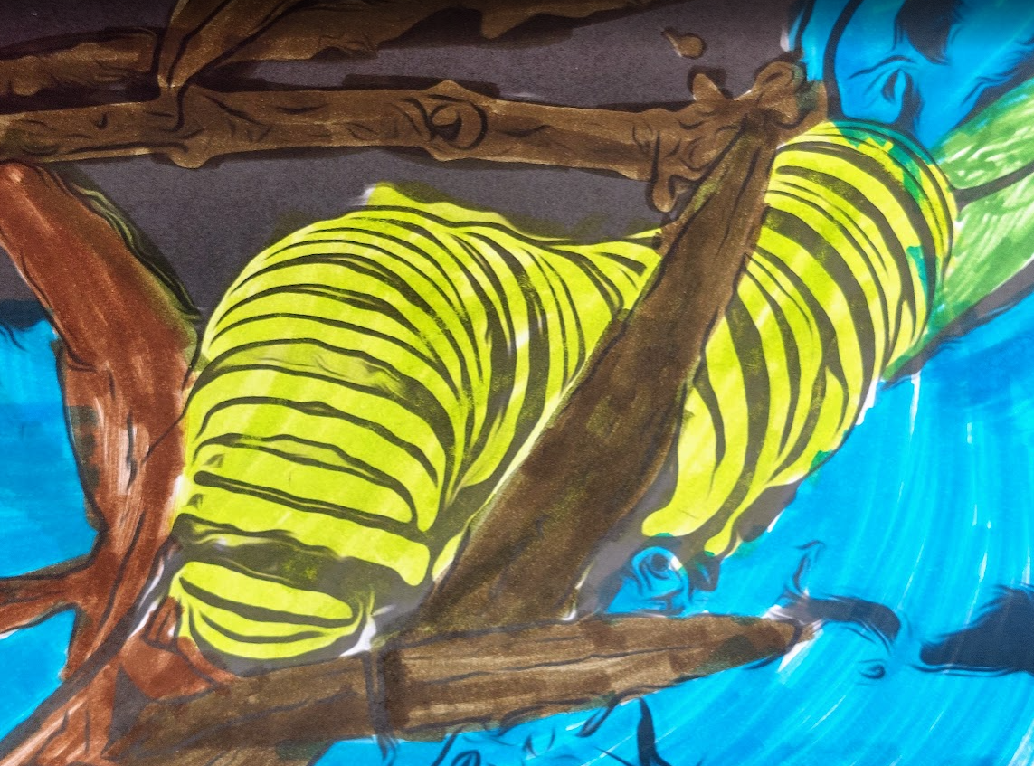 2025 MWE 0022 - PROJECT MONARCH