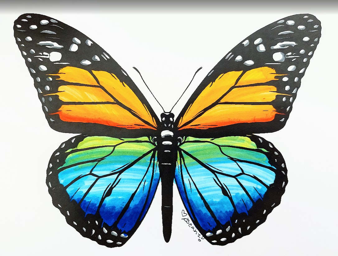 2025 MWE 0024 - PROJECT MONARCH